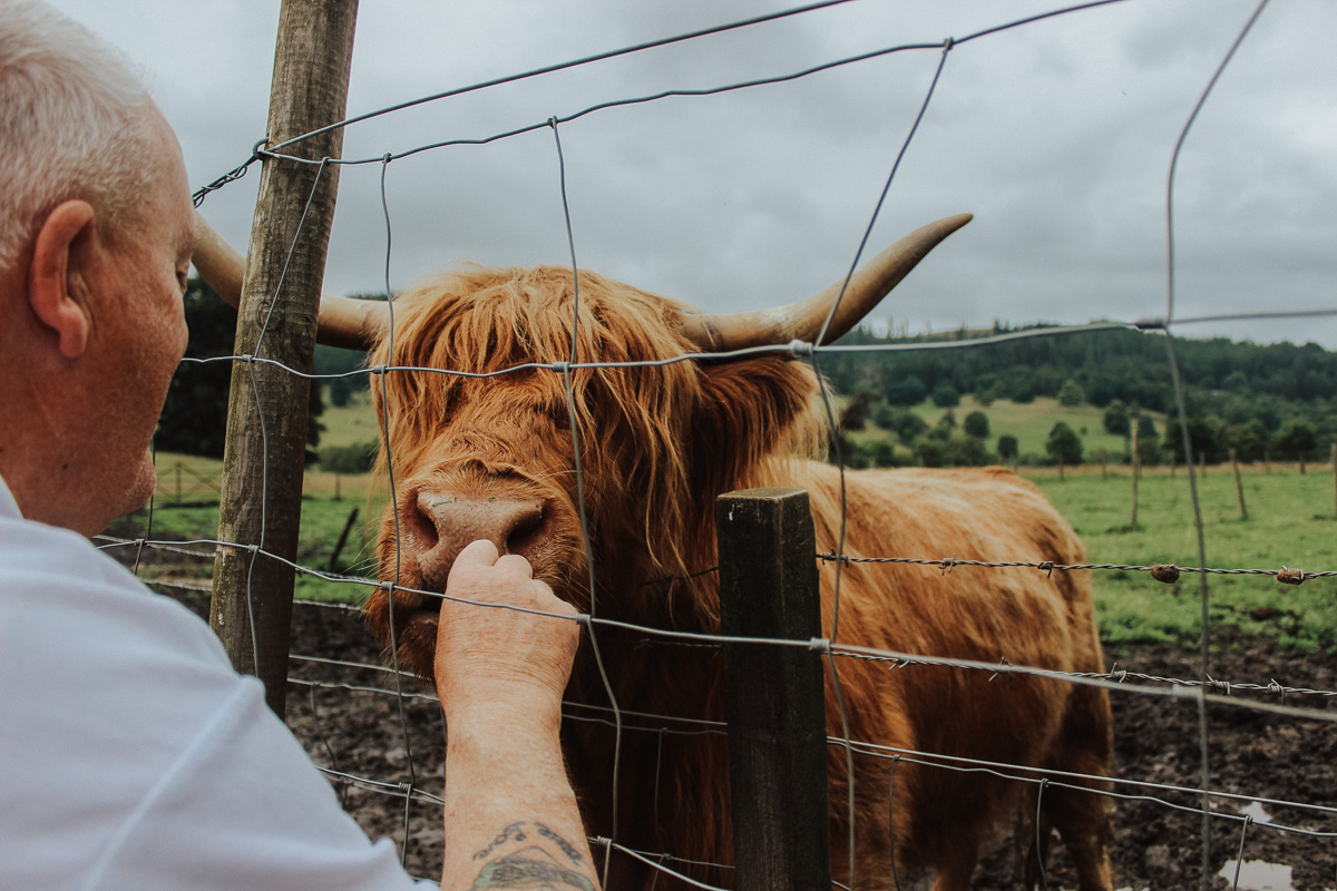 The Bonnie Bonnie Banks – Wandering Miss Emma.K